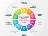 Software Development Team Key Roles Structure Synapseindia